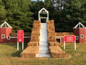 FALL FUN for all ages at Harvest Moon Acres Corn Maze & Fun Park
